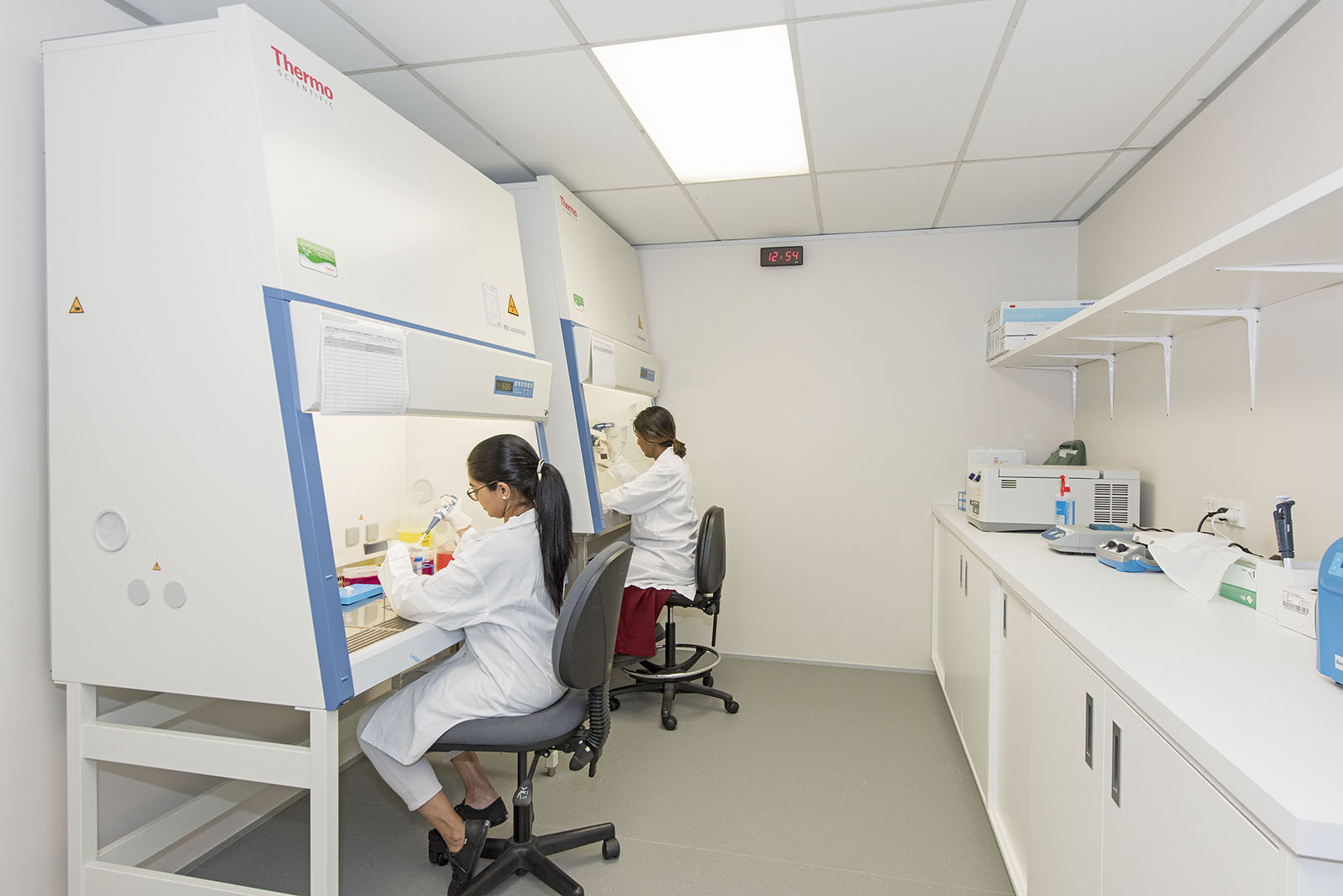 Auckland Clinical Studies